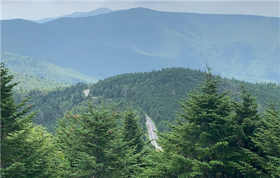 600 Cyclists will take on the 47th Annual Assaults on Mt. Mitchell and ...